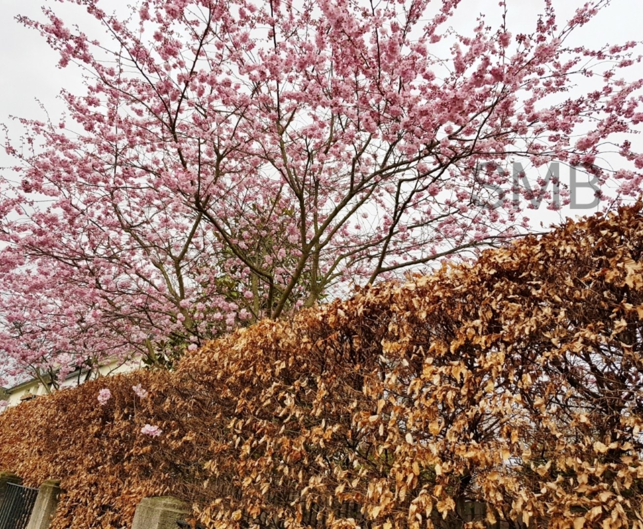 When Is It Enough? – Sophy Miah’s Blog